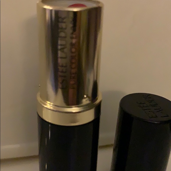 Estee Lauder | Makeup | Este Lauder Pure Color Envy Rebellious Rose ...